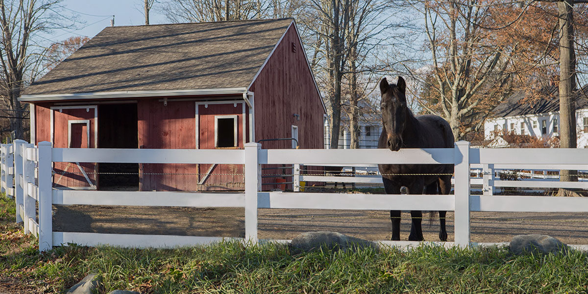 Willow Brook Farm Holliston MA